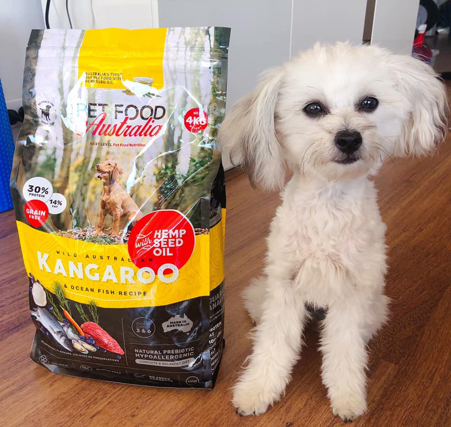 Food for Itchy & Sensitive Pets