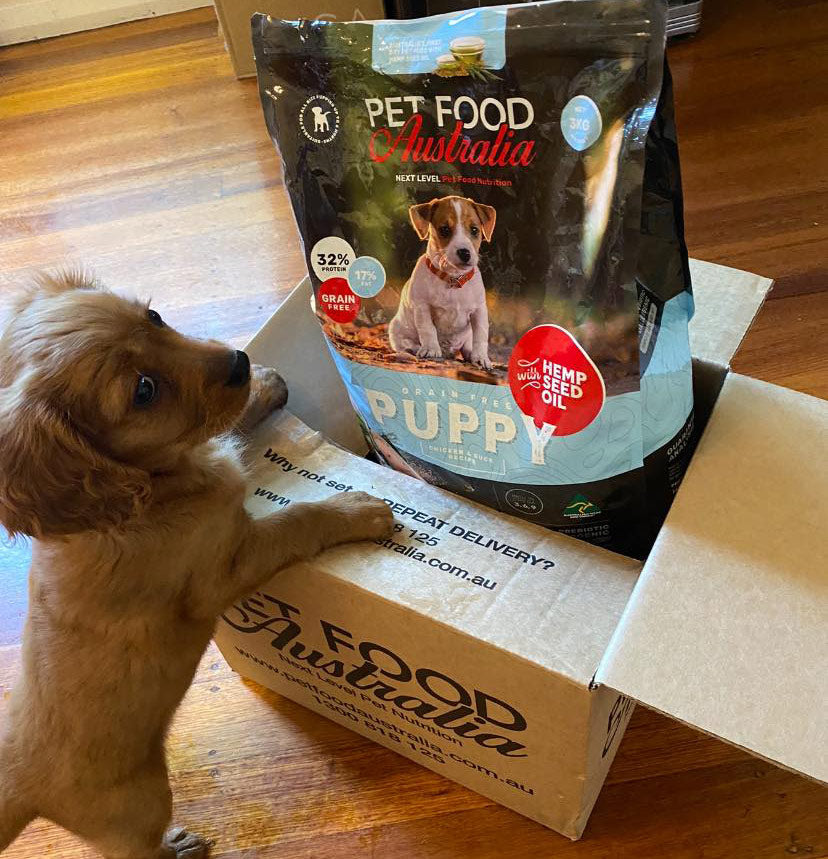 Premium Pet Food | Shop Pet Products Online in Australia